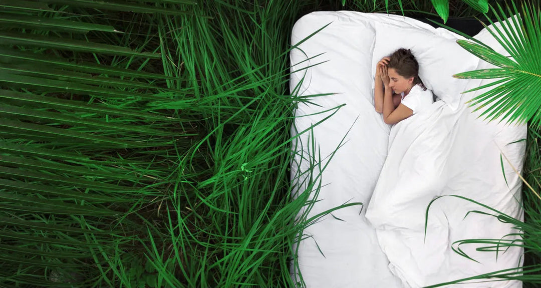 About Us | Terra Therapy | Premium Grounding Products Online - Terra ...